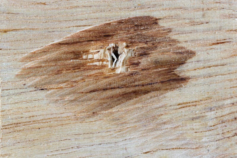 Traces on wood stock image. Image of exterior, carpentry - 44057001