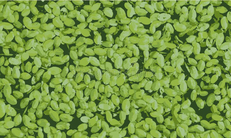 Duckweed Stock Illustrations – 703 Duckweed Stock Illustrations ...