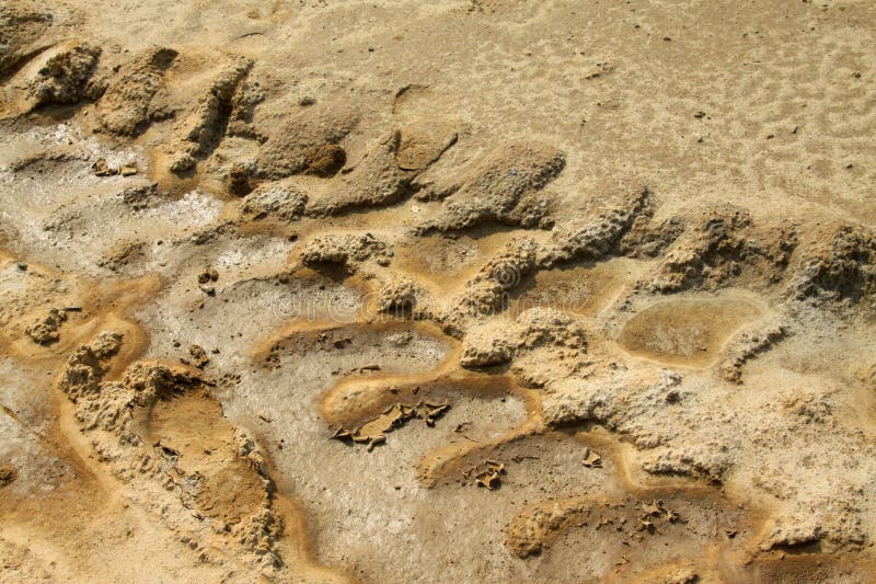 Tracing rut on the land stock photo. Image of mark, tires - 383745148