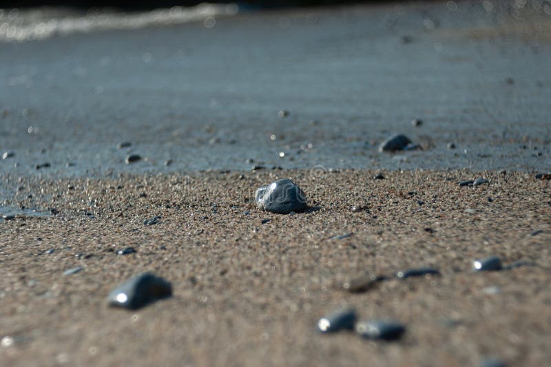 Tracing Stones on the Beach Near the Sea Stock Photo - Image of ...