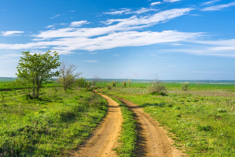 Track across the field stock photo. Image of green, agriculture - 54365318