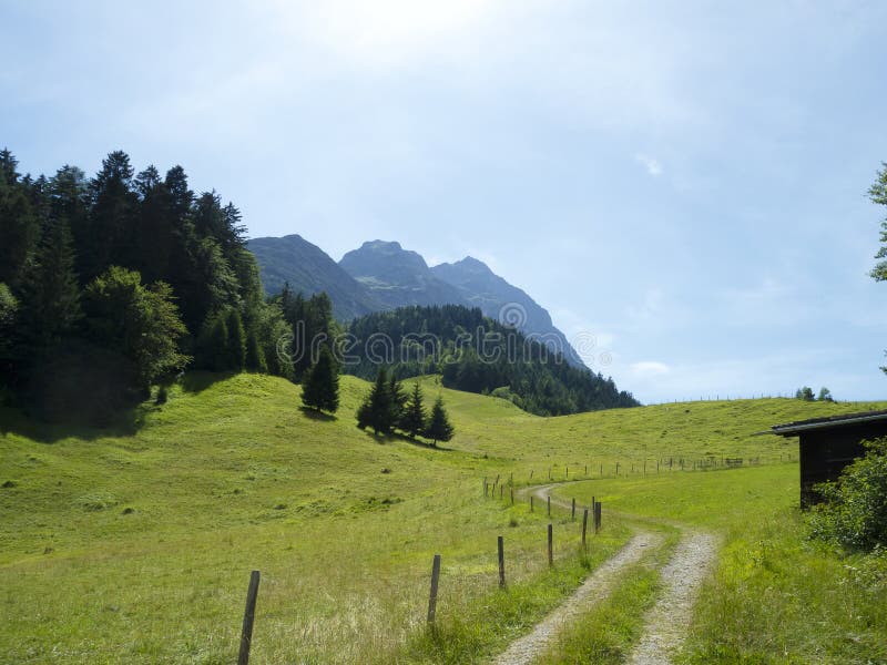 Track through Alpine Pasture Stock Image - Image of path, europe: 43136913