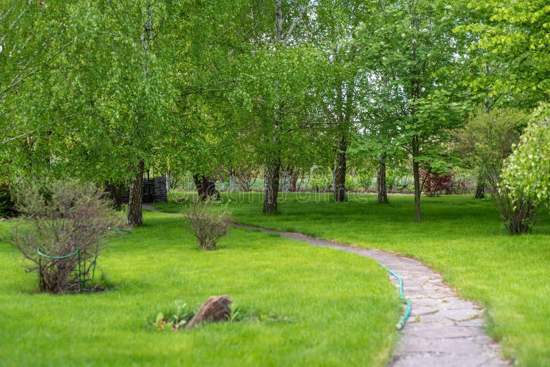 Track in the backyard stock photo. Image of landscaping - 184113210
