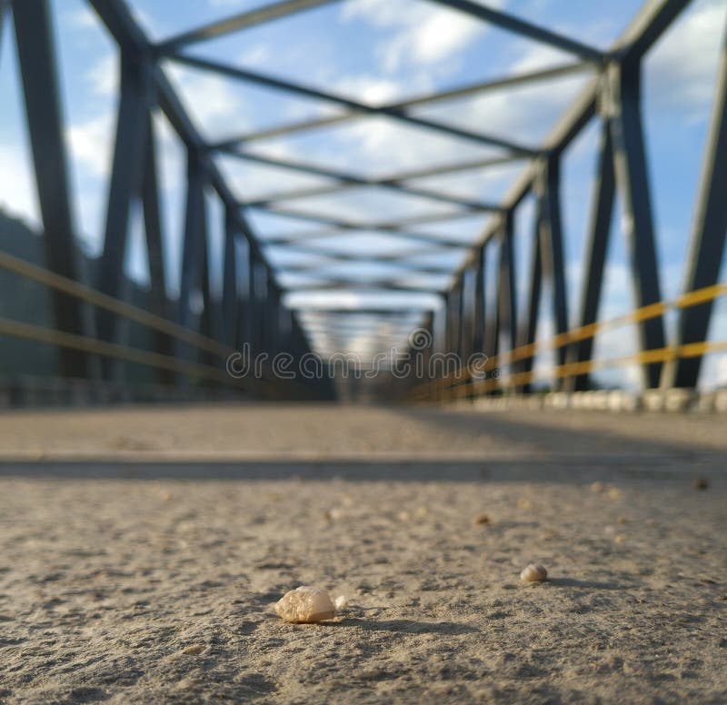 Track bridge stock image. Image of line, transport, sunlight - 210281057