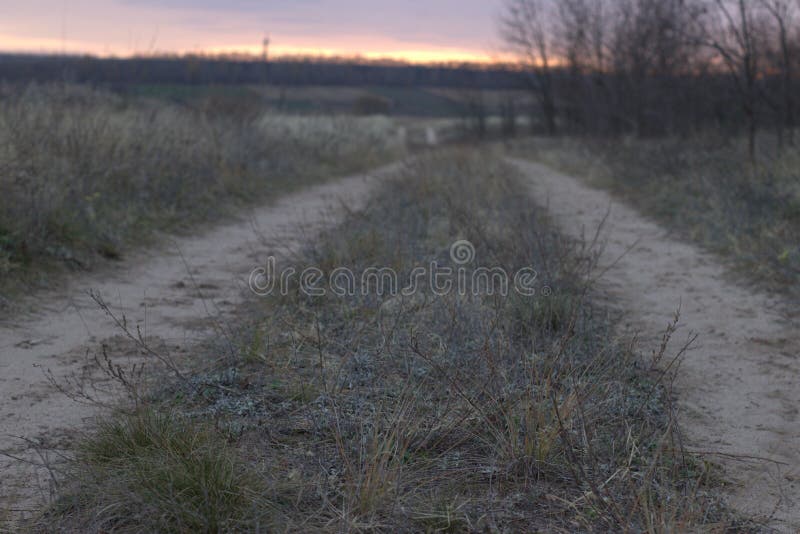 Track stock image. Image of prairie, wetland, plant - 264432341