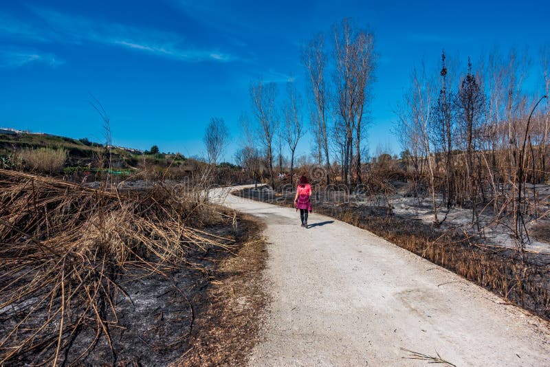 Track and Completely Burnt Area after Fire with People Stock Image ...