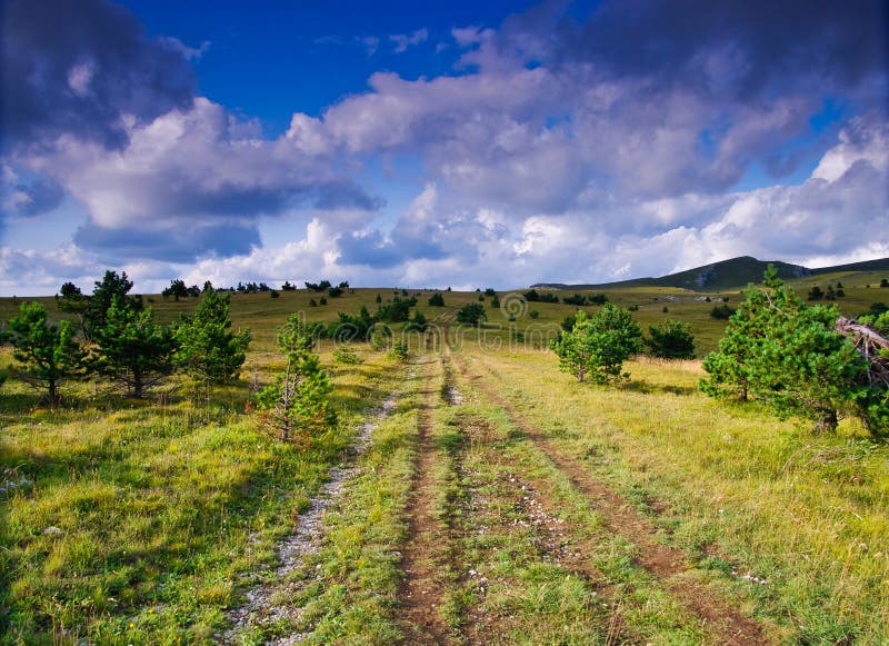 Track through countryside stock image. Image of outdoors - 10560417