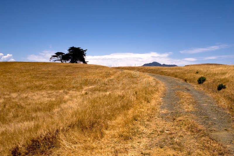 Track through countryside stock photo. Image of recedes - 7004184