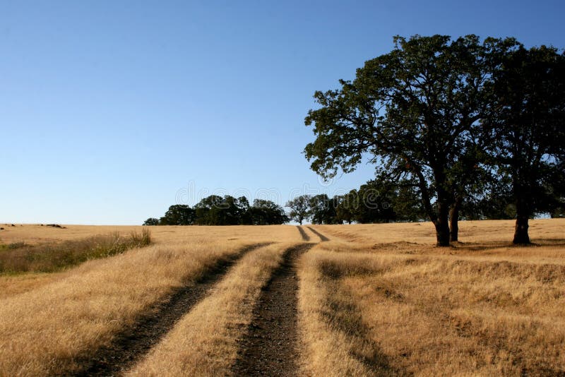 Track through countryside stock image. Image of remoteness - 7303687