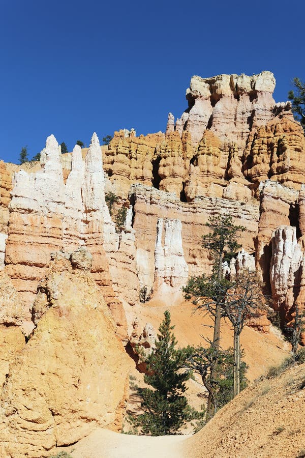 Track at Famous Bryce Canyon Stock Image - Image of geology, formation ...