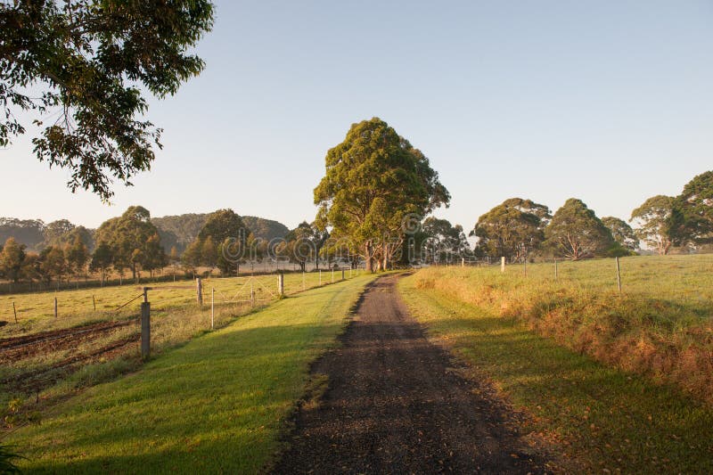 Farm Walking Track stock image. Image of walking, country - 302086245