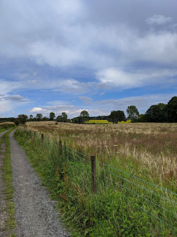 Track and field stock image. Image of exploring, hedges - 190934379