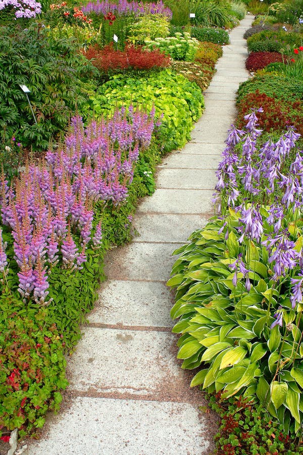 Track in the flower-bed stock photo. Image of flowers - 30758022