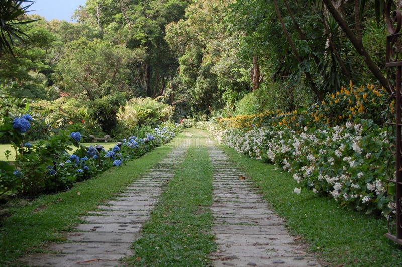 Track through flower park stock image. Image of route - 5256723