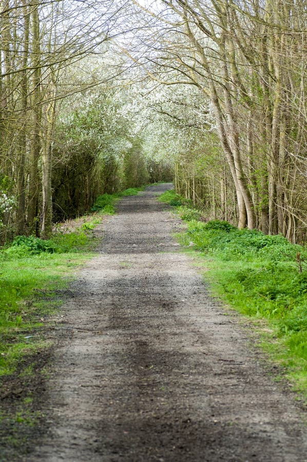 Farm track stock photo. Image of conservation, fens, newly - 71868224