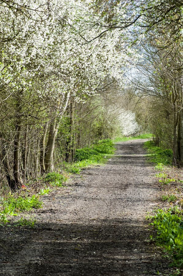 Farm track stock photo. Image of conservation, fens, newly - 71868224