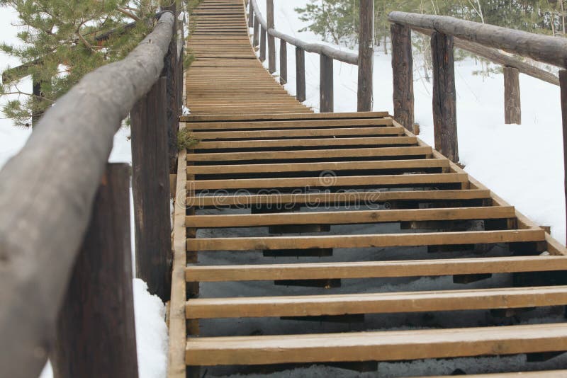 The Track is Made of Wood in the Forest Stock Image - Image of ...
