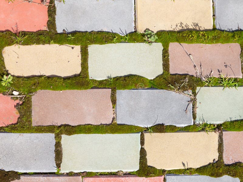 Track from Multi-colored Brick and Moss Stock Image - Image of colorful ...