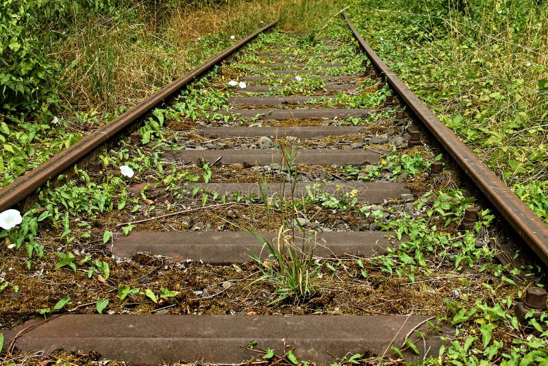 Track, Path, Grass, Soil Picture. Image: 132188959