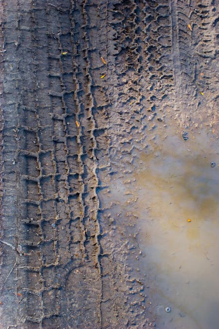 Track print stock image. Image of tread, path, dirt, pool - 781639