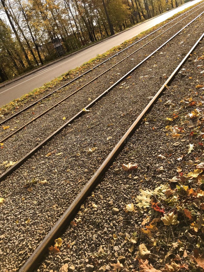 Track, Rail Transport, Line, Tree Picture. Image: 111485308
