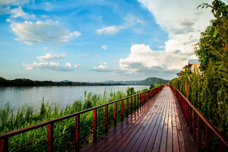 Track running river River stock image. Image of forest - 55138049