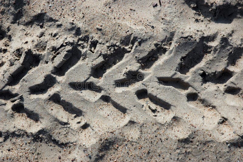 Track On Sand Picture. Image: 6269524