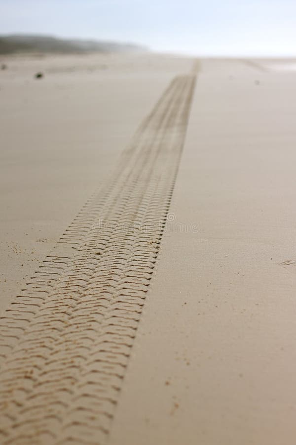 A Track in the Sand stock photo. Image of travel, qeensland - 41110258