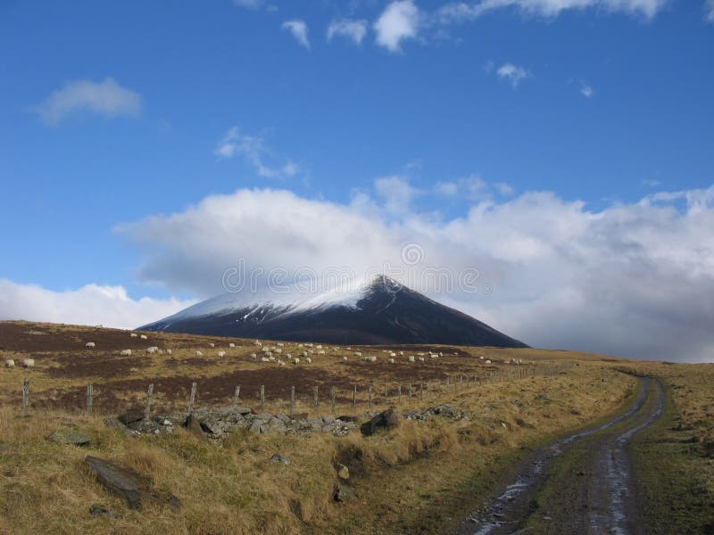 Track in the Scottish Highlands Stock Image - Image of scottish, winter ...