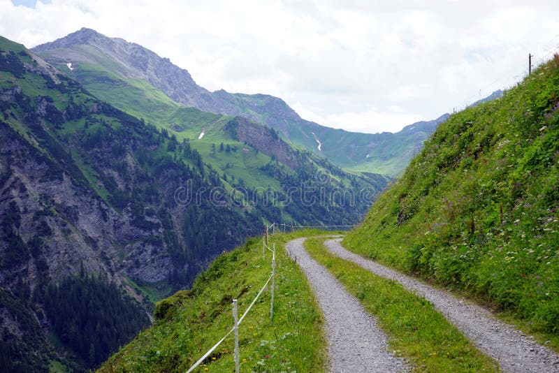 Track on the slope stock image. Image of wild, flower - 76885243