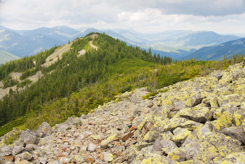 Track on a slope stock image. Image of tops, wood, summer - 45612031