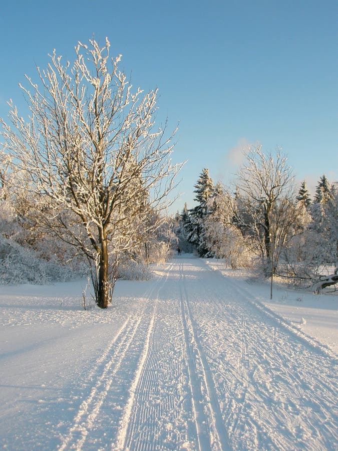 Quiet Winter Snowy Landscape Stock Photo - Image of coldish, drift ...