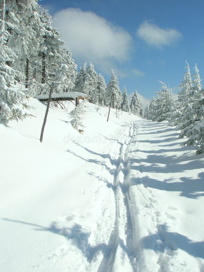 Quiet Winter Snowy Landscape Stock Photo - Image of coldish, drift ...