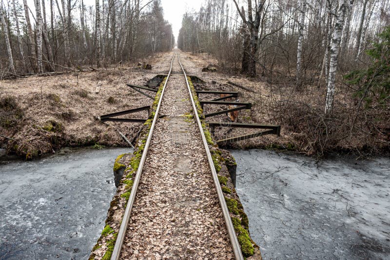 Track in the Swamp, Peat Transportation, Swamp Ditch in Spring ...