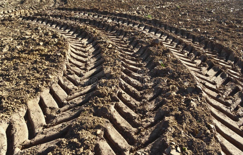 Peat field stock photo. Image of landscape, outdoors - 42440964