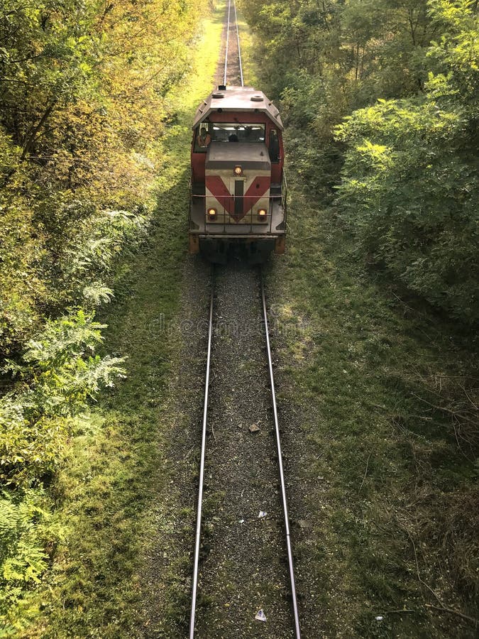 Track, Transport, Rail Transport, Tree Picture. Image: 111485526