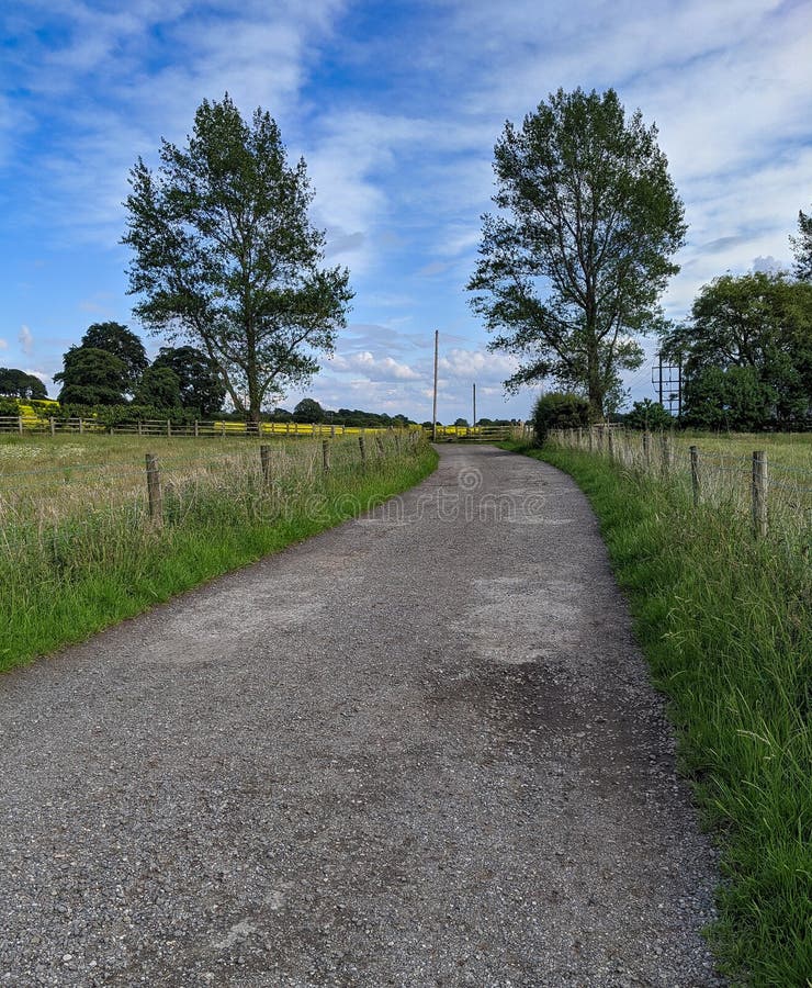 Track and two trees stock image. Image of trails, path - 190934389