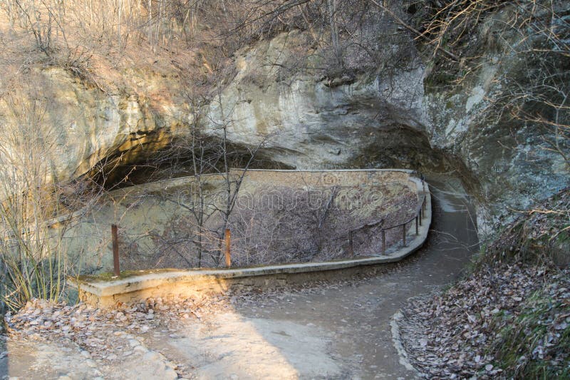 Track under the rock. stock image. Image of tree, outdoors - 73490413