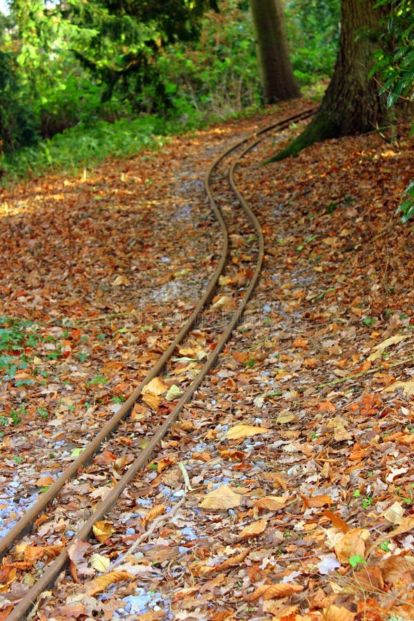 Track in the Woods stock image. Image of trees, autumn - 36319601