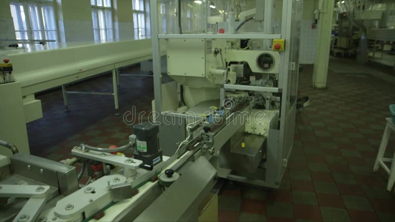 Freshly Made Chocolates Gets from the Conveyor Line into the Packaging ...