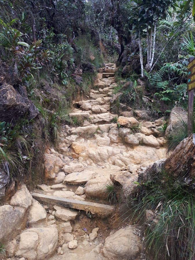 Mount Kinabalu Hiking Trail Stock Image - Image of beautiful, borneo ...