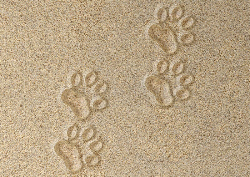 1,498 Beach Color Palette Stock Photos - Free & Royalty-Free Stock ...