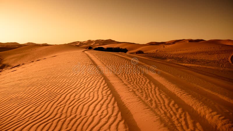 Tracks through desert stock photo. Image of evening, sandy - 82949674