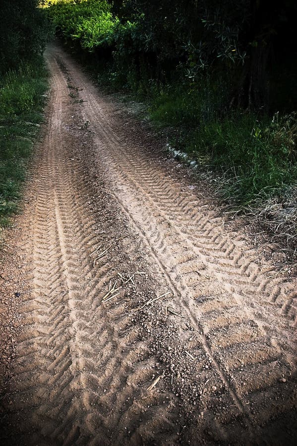 The Tracks in the Dirt Road Stock Photo - Image of plants, turn: 44721086