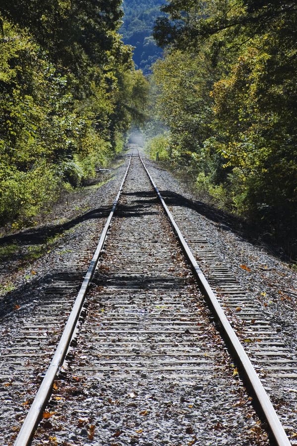 Tracks into the distance stock photo. Image of trees, forests - 1381218