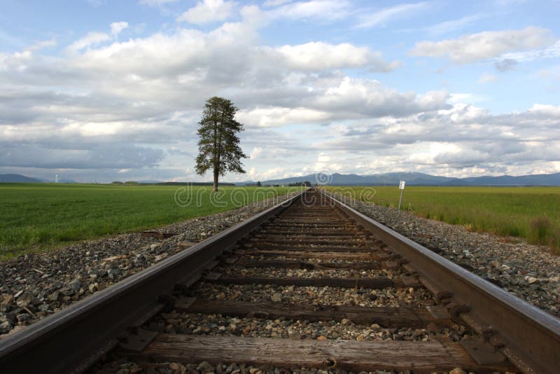 Tracks Through The Farm Field. Stock Photo - Image of direction ...