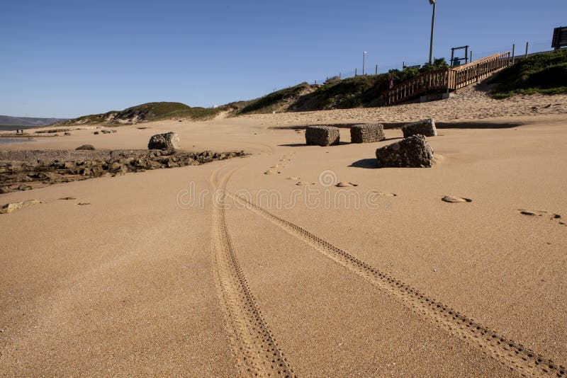 The Tracks of a Bicycle on the Beach Stock Photo - Image of sunny ...