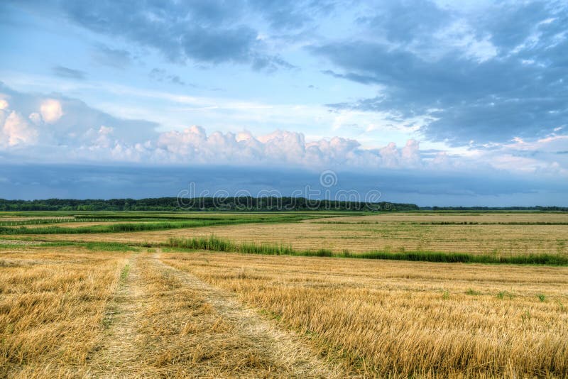 Tracks in the field hdr stock image. Image of horizon - 42533657
