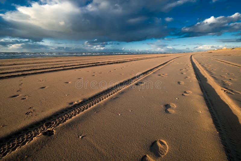 Tracks And Footsteps Picture. Image: 3582123