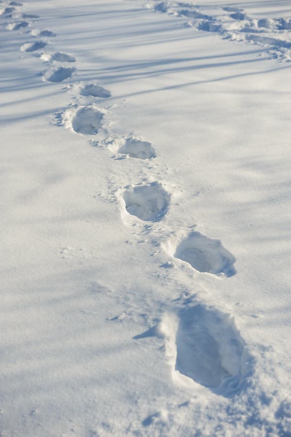 Tracks on fresh snow stock image. Image of field, white - 81674275